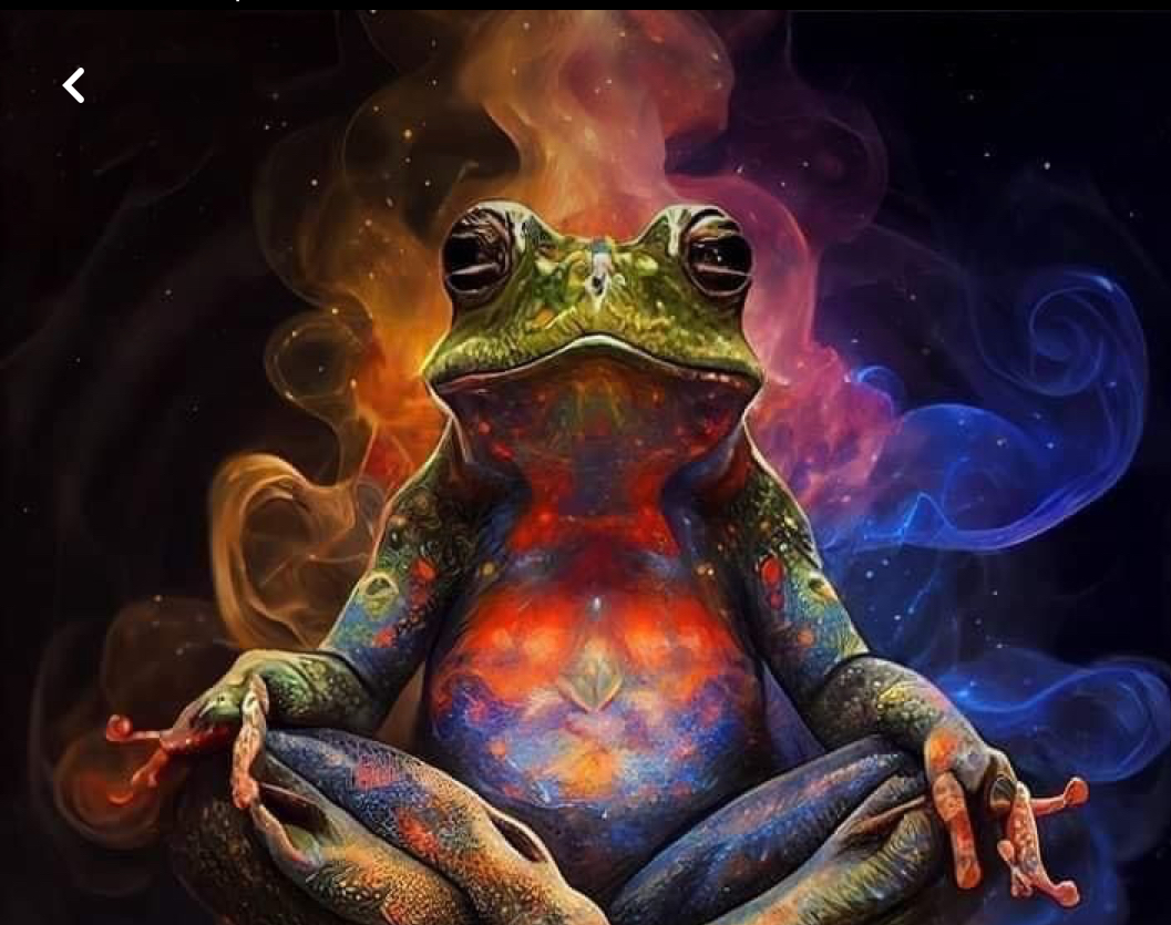 Sacred Toad Ceremony - OM Jungle Medicine